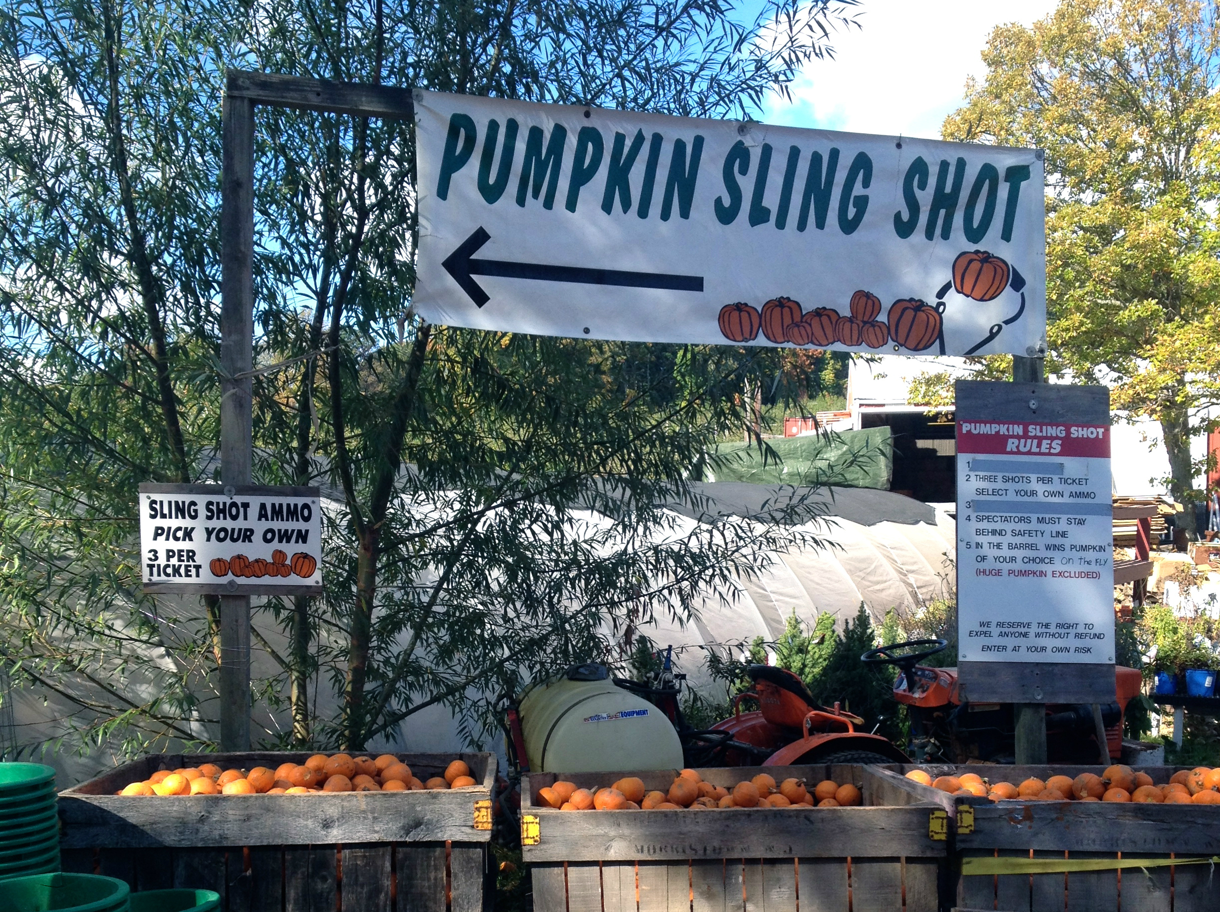 Family Pumpkin Picking, Wightman’s Farm, NJ – Caitlin Kenney Smith