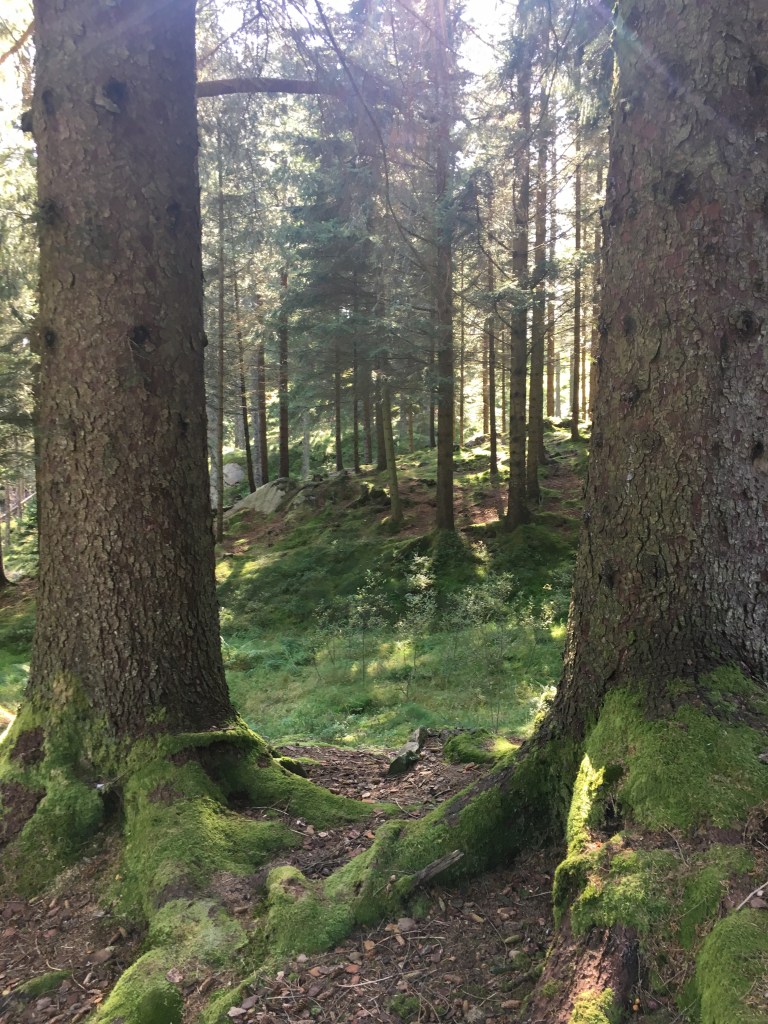 Bergen, Norway – Caitlin Kenney Smith