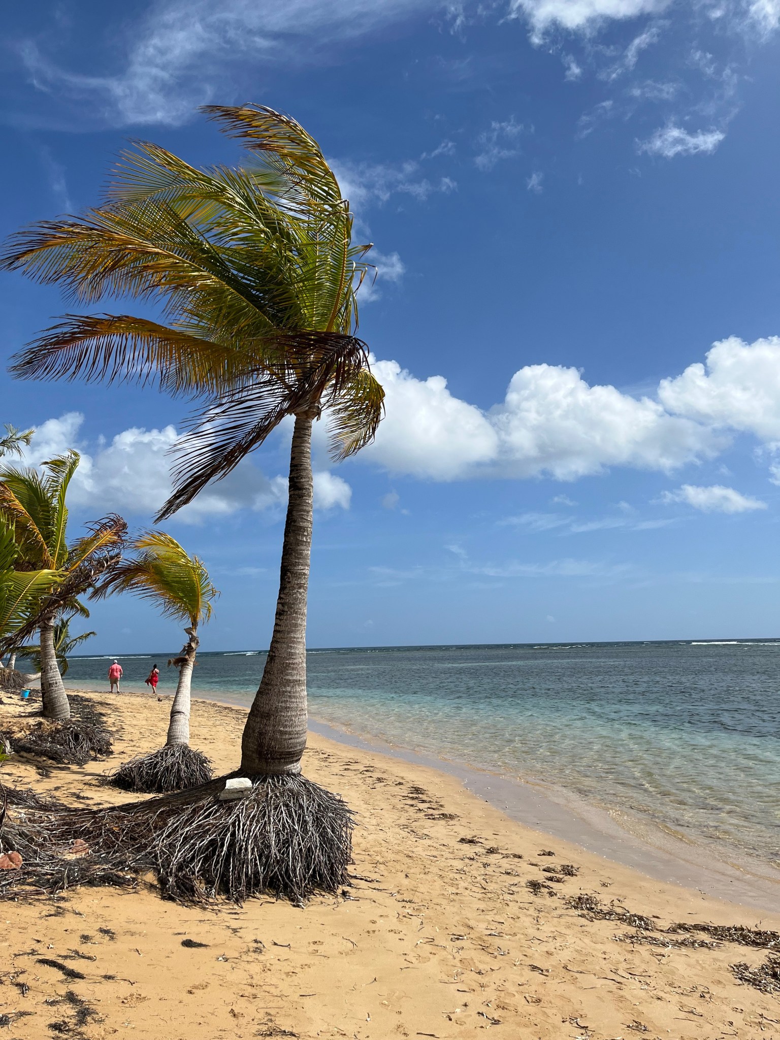 Puerto Rico – Caitlin Kenney Smith